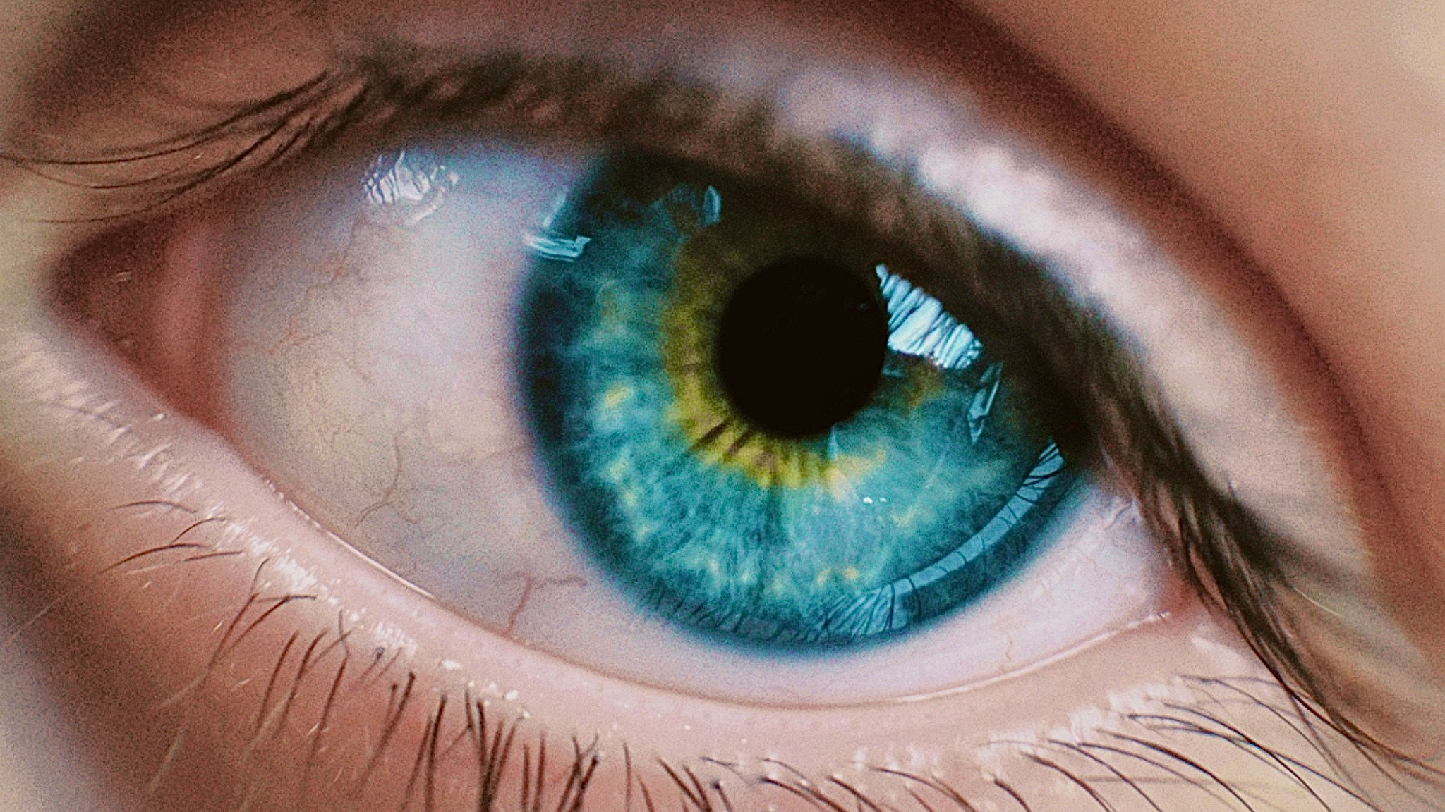 A look at Olo, a new colour discovered by scientists | Augustman Malaysia