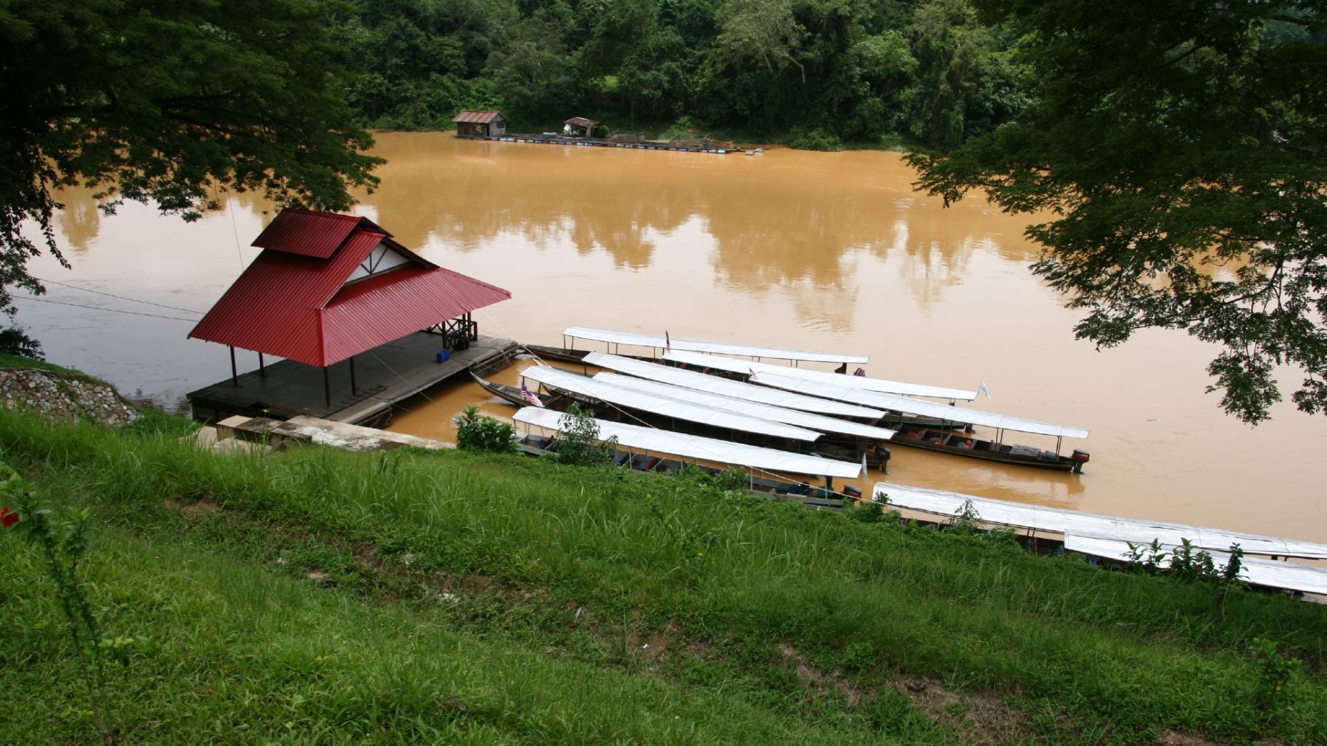 Complete Guide To Taman Negara: An Ancient Rainforest Paradise