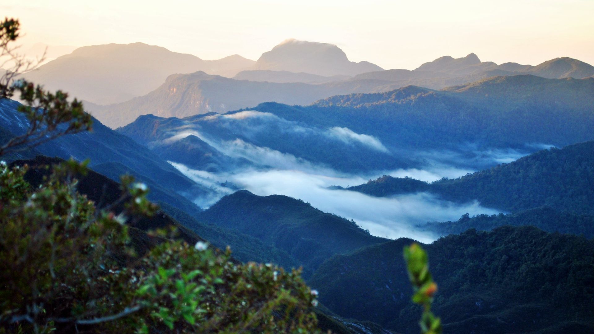 Complete Guide To Taman Negara: An Ancient Rainforest Paradise