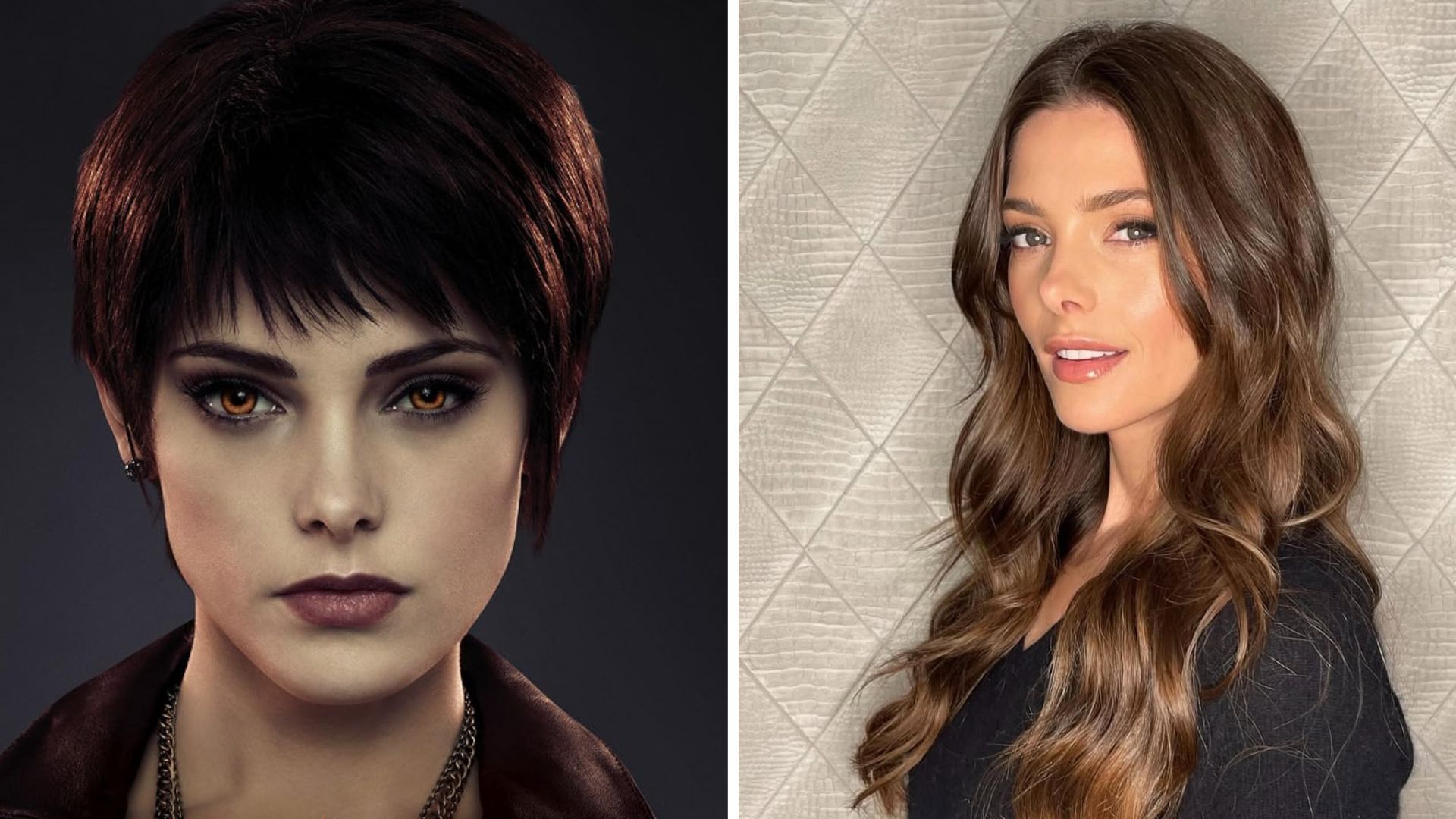 The Twilight Saga Cast Members: Then vs Now | Augustman MY