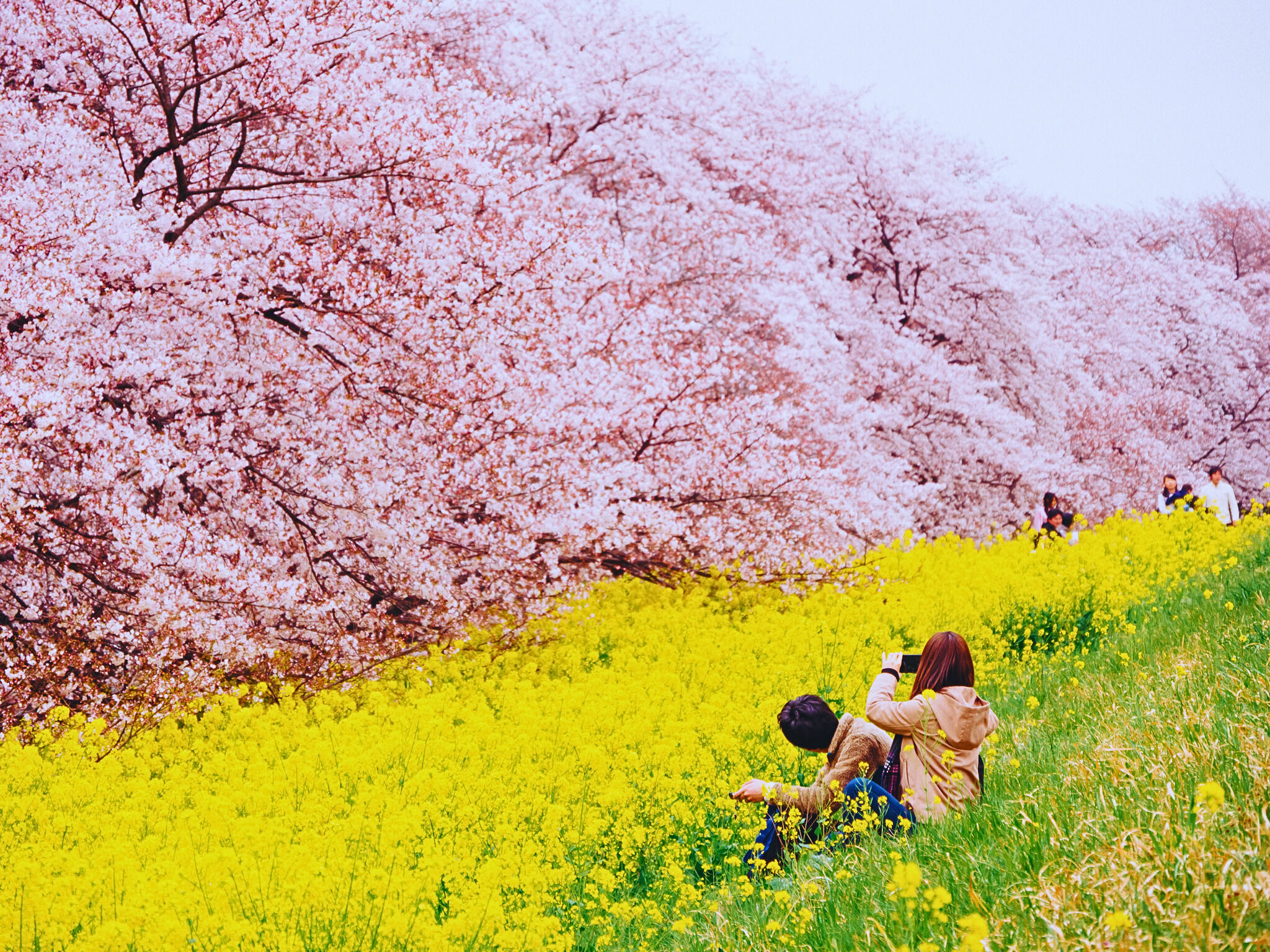 The Best Places To Visit In Saitama, Japan | Augustman Malaysia