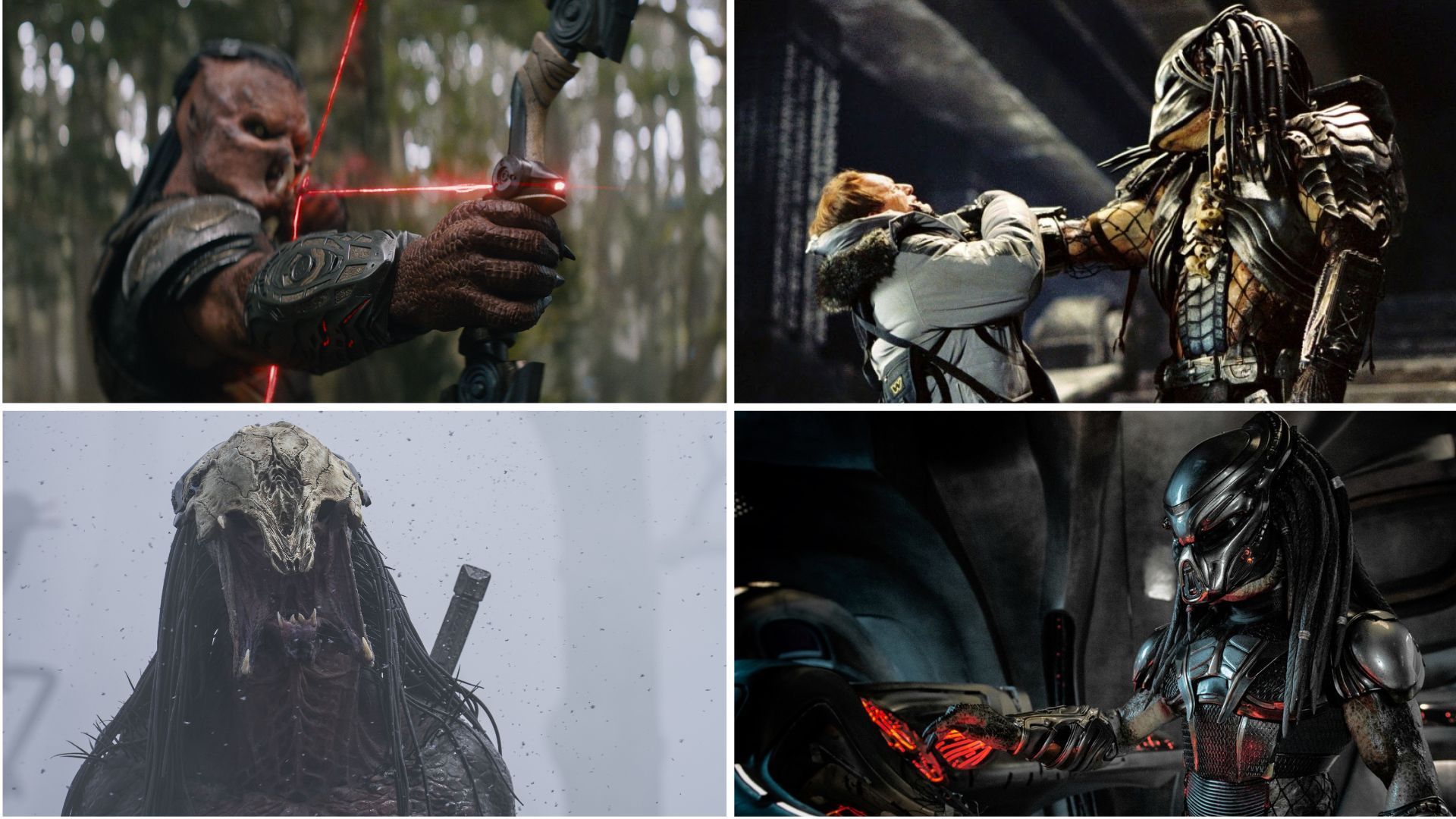 Ranking The Most Powerful Predators | Augustman Malaysia