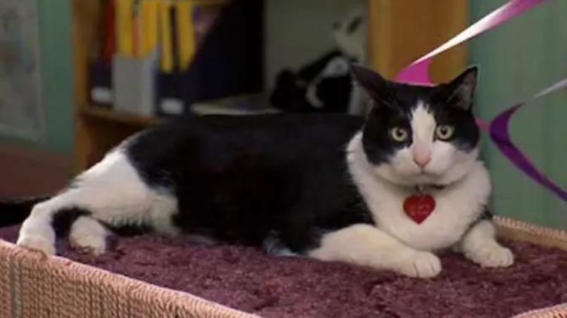 7 Princess Diaries Characters We Can't Wait To See In The New Sequel