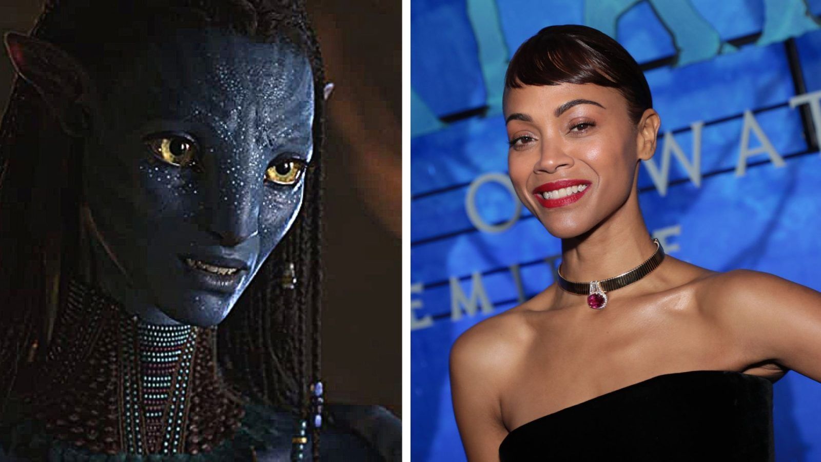 Zoe Saldaña To Kate Winslet, Meet The Voice Cast Of 'Avatar 2'