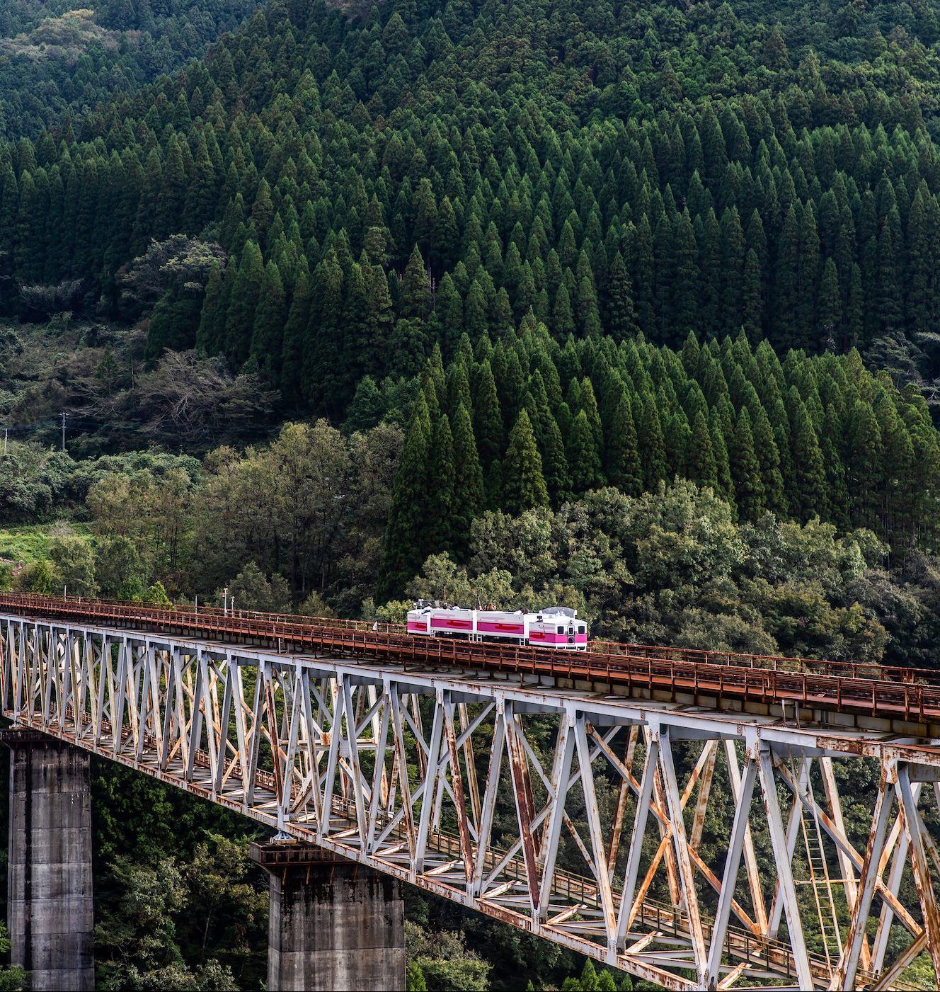 This Sightseeing Train In Japan Runs On Leftover Ramen Soup