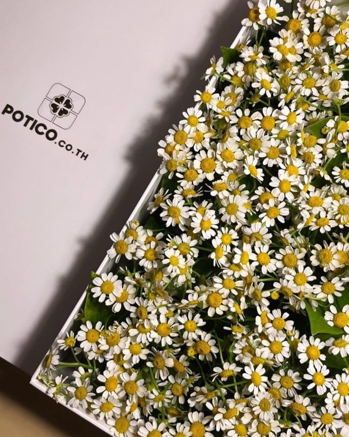 Best Online Flower Delivery Services In Bangkok