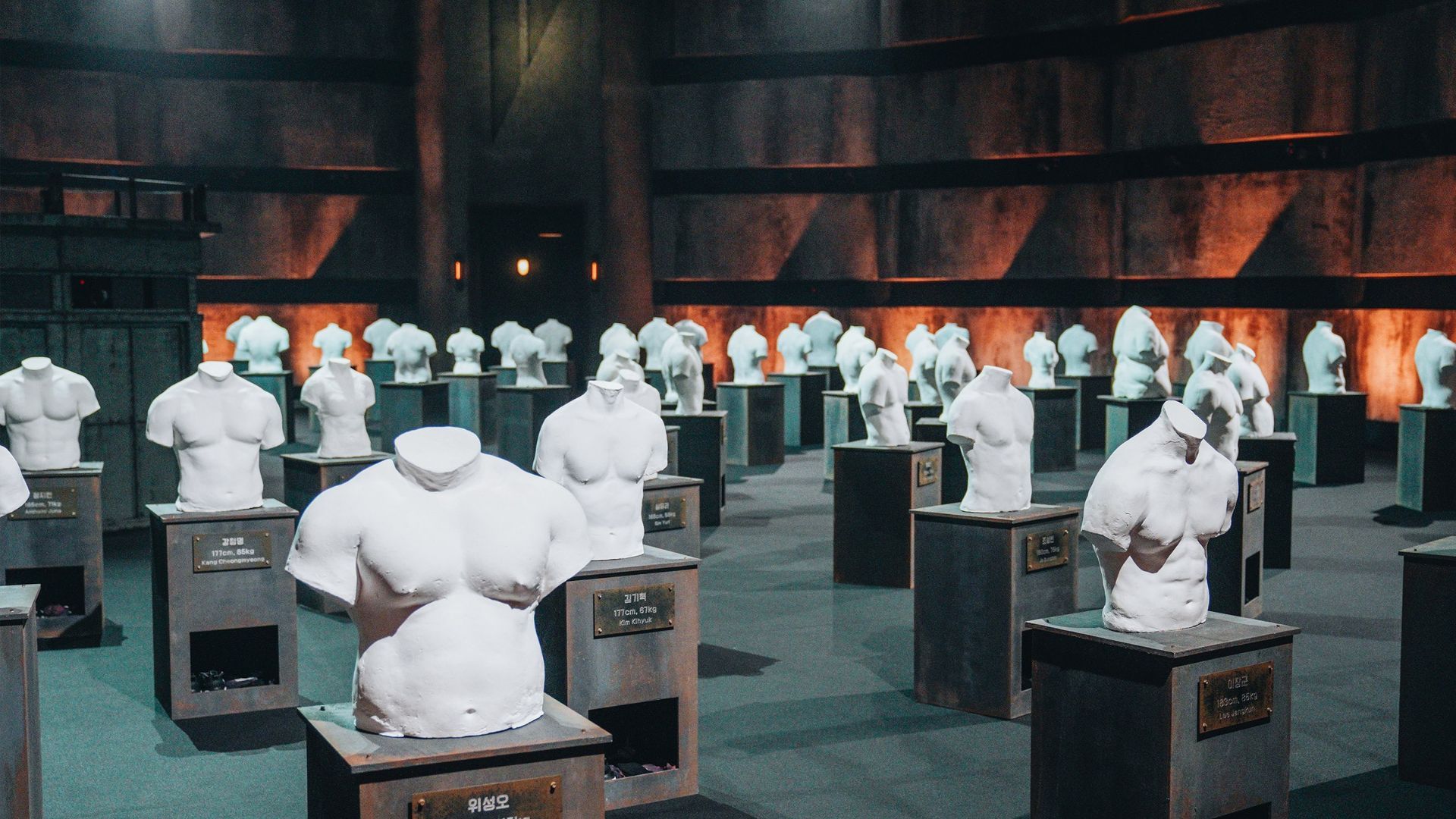 Is Physical: 100 Season 3 Happening? Here Is Everything We Know