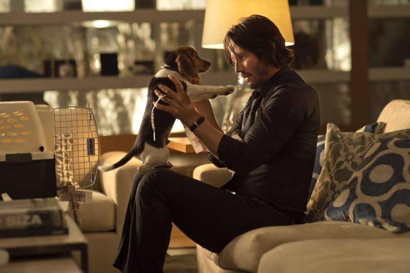 All the John Wick movies in chronological order - Augustman Thailand