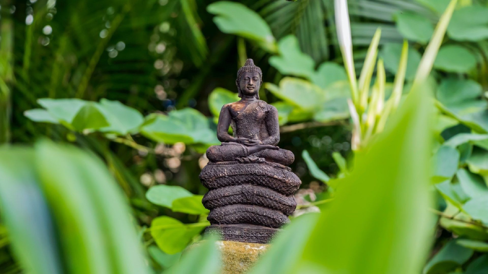 Meditation 101: Things to know before you take the spiritual plunge