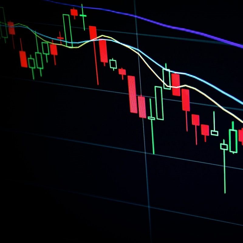 Share Market 101: A Complete Guide For Beginners Looking To Invest