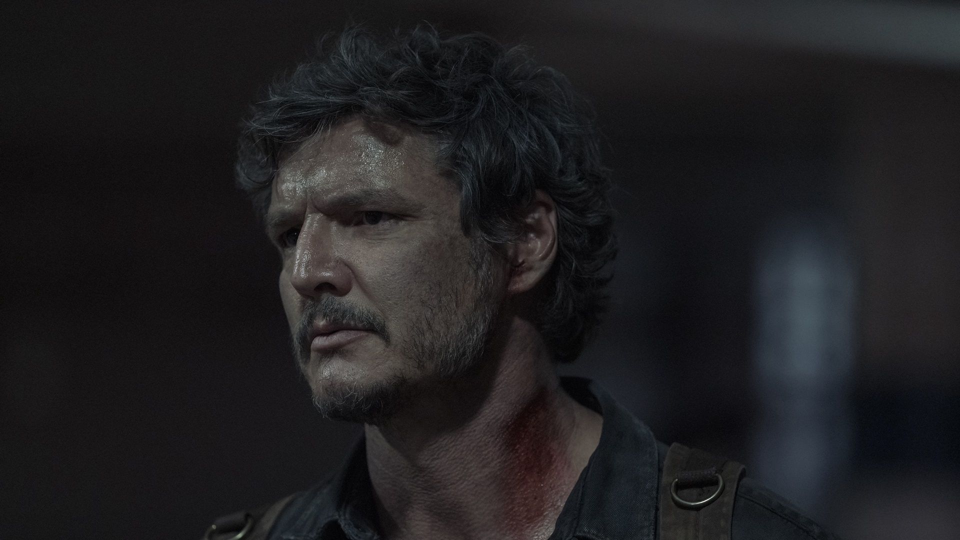 What We Know About Weapons, The Horror Film Starring Pedro Pascal