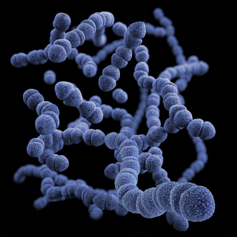 Vibrio Vulnificus: All We Know About The Rare Flesh-Eating Bacteria