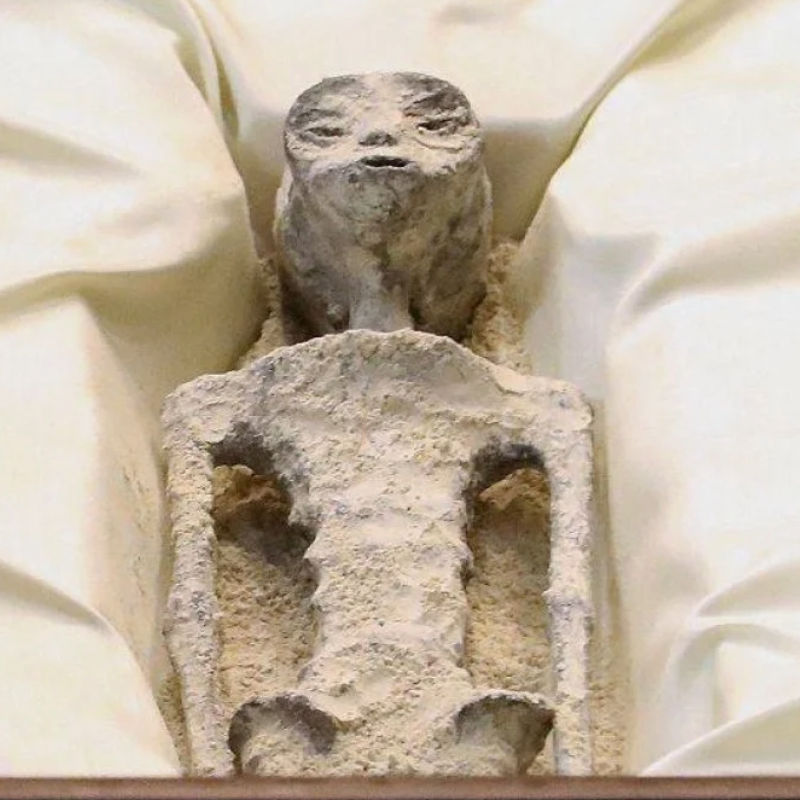 Aliens In Mexico? Recovered Body Sparks Intrigue And Controversy