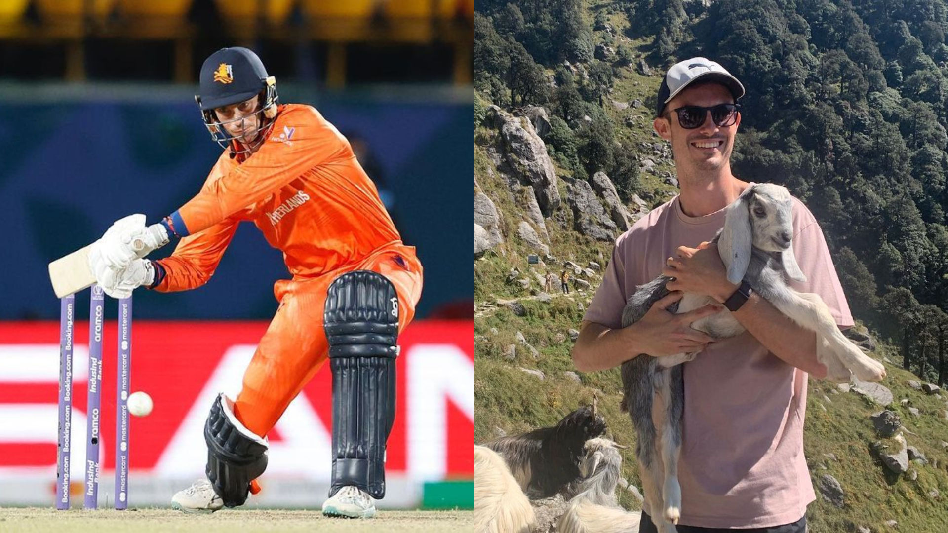 A Look At Dutch Captain Scott Edwards' Stats And Career Highlights