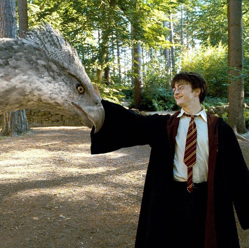 Brush Up On Your Magic Skills With This List Of Harry Potter Spells